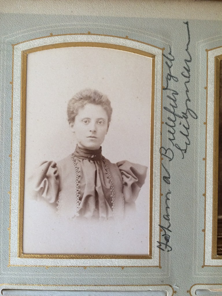 My Ever-growing Seligmann Family Tree | Brotmanblog: A Family Journey