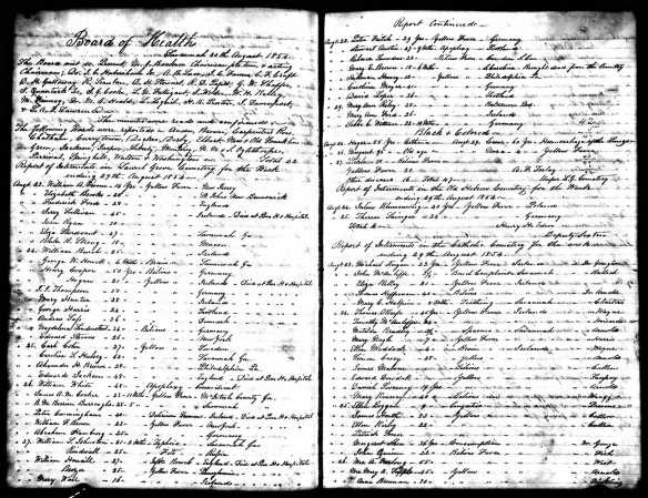 The Adopted Son: Who Was He? | Brotmanblog: A Family Journey