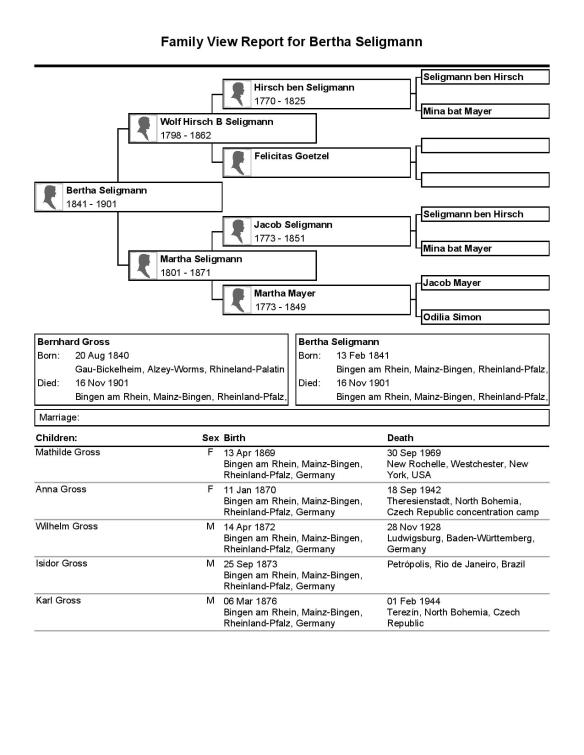 Life in Bingen, Germany 1850-1901: The Family of Martha and Benjamin ...