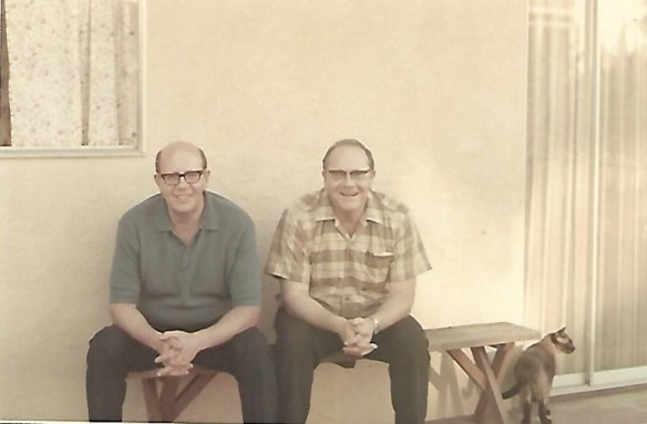 Morris Goldfarb’s Adventurous Sons, Martin, Irving, and Saul ...