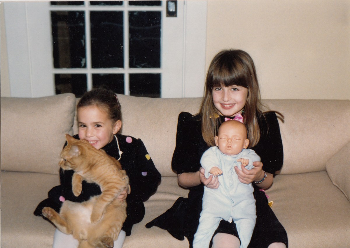 An Amazing Day! | Brotmanblog: A Family Journey