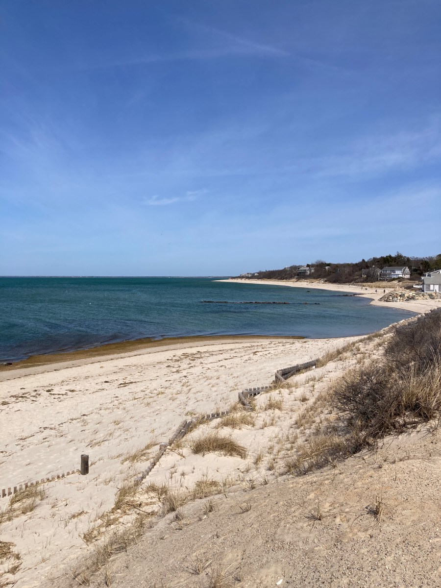 Blog Update | Brotmanblog: A Family Journey